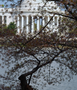 Law Office of Linette Tobin, Attorney at Law